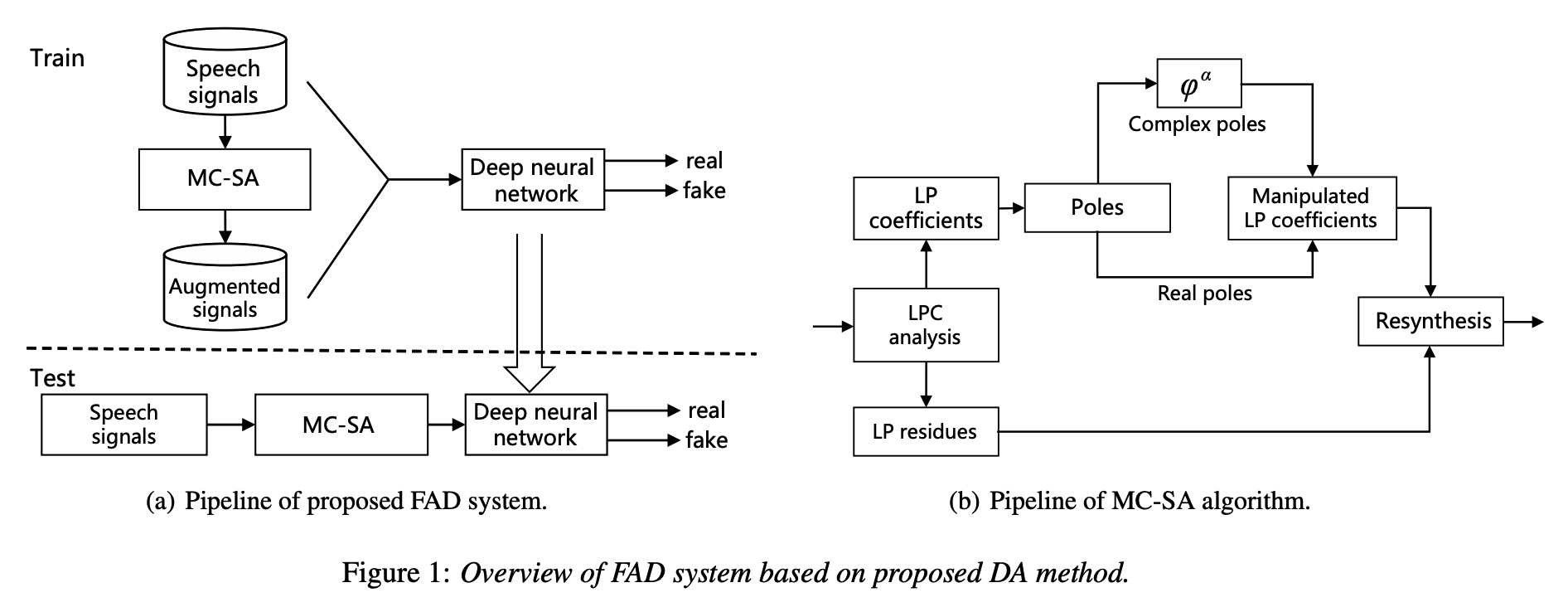 Data Augmentation Using Mcadams Coefficient Based Speaker Anonymization